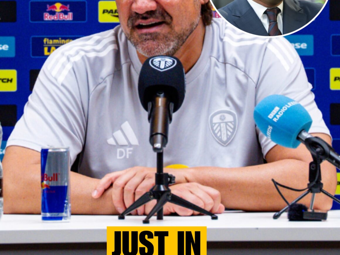 DANIEL FARKE GIVE 10 REASONS TO LEEDS UNITED BOARDS FOLLOWING HIS ...